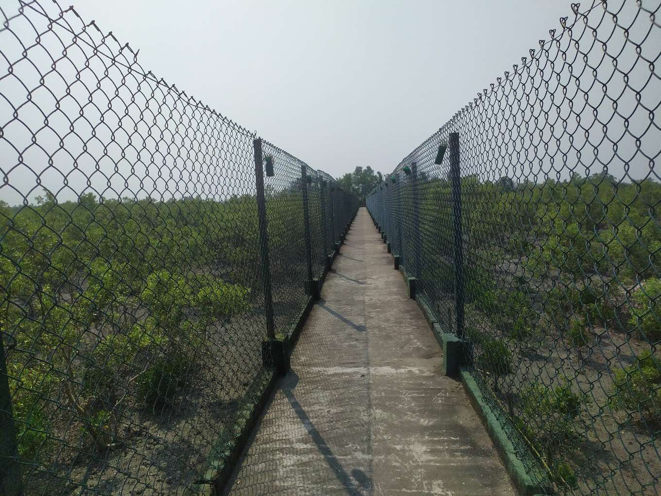 The Places of Interests In Sundarban National Park