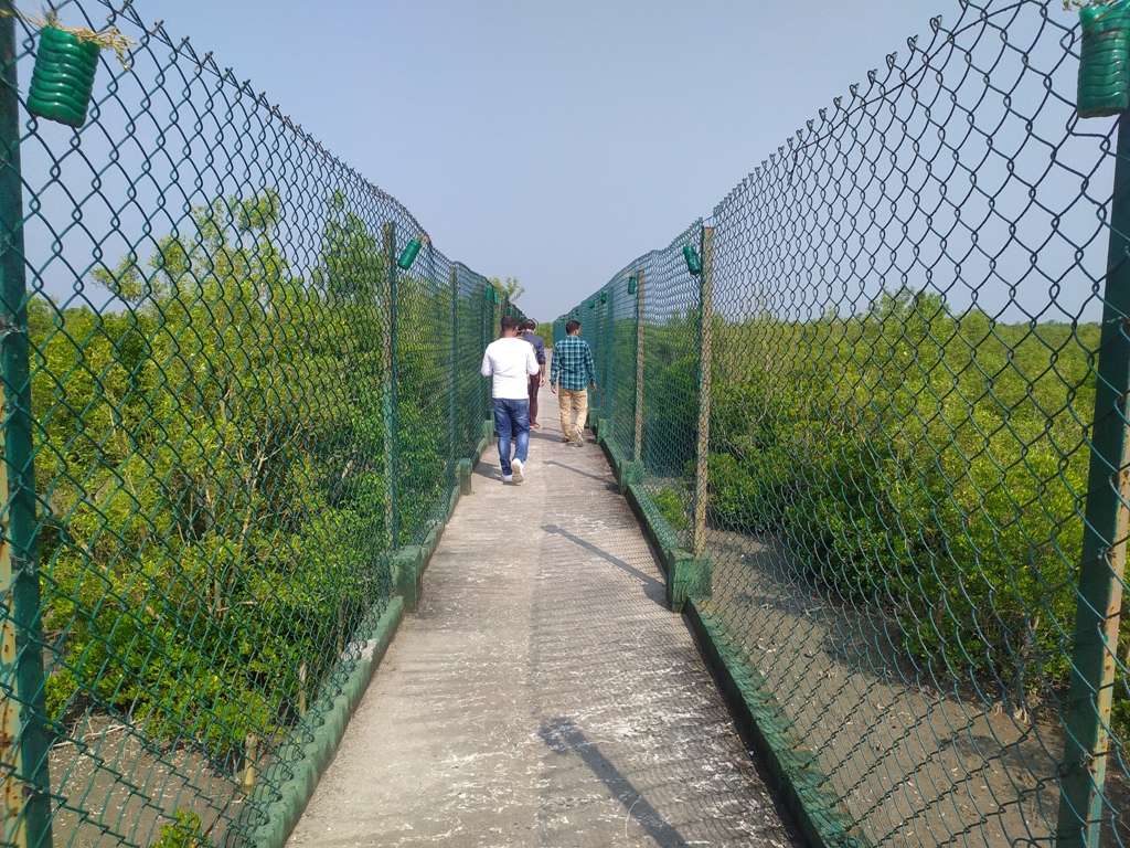 Dobanki Watch Tower Sundarban